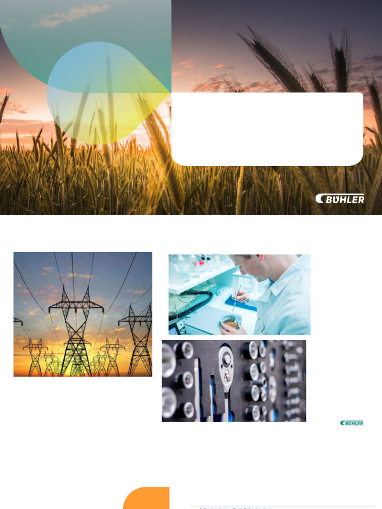 Realeza - script | PDF | Mill (Grinding) | Flour