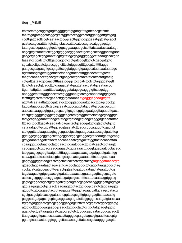 topicos seq prime | PDF