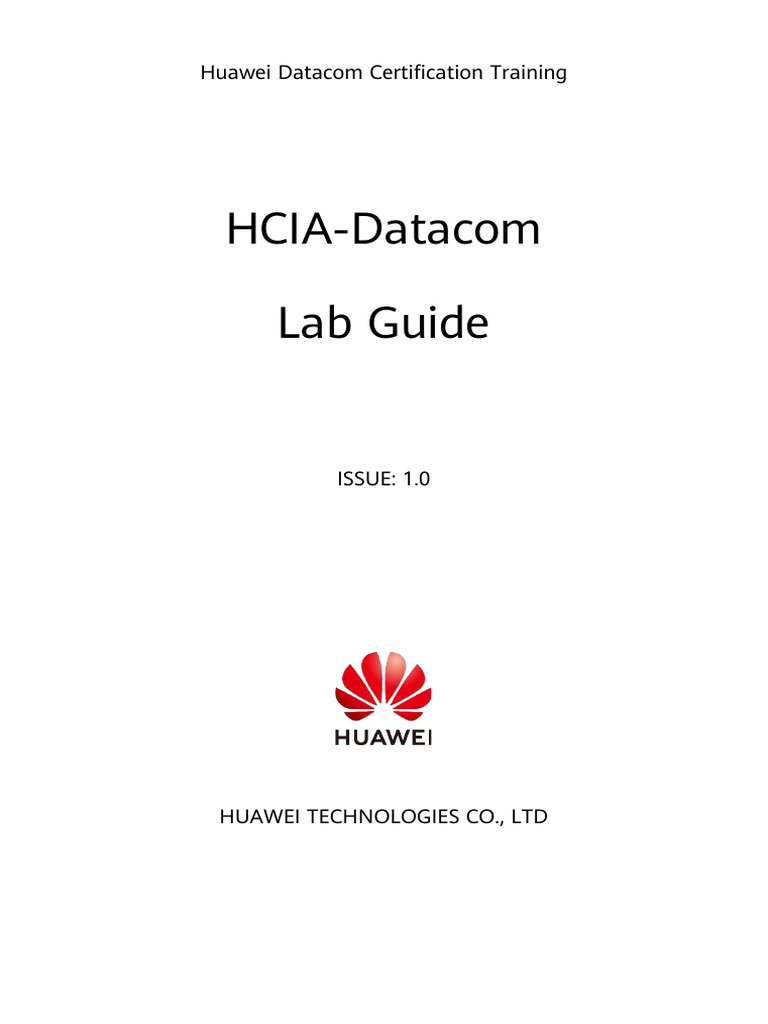 HCIA-Datacom V1.0 Lab Guide (ENSP Pro) | PDF | Ip Address | Computer File