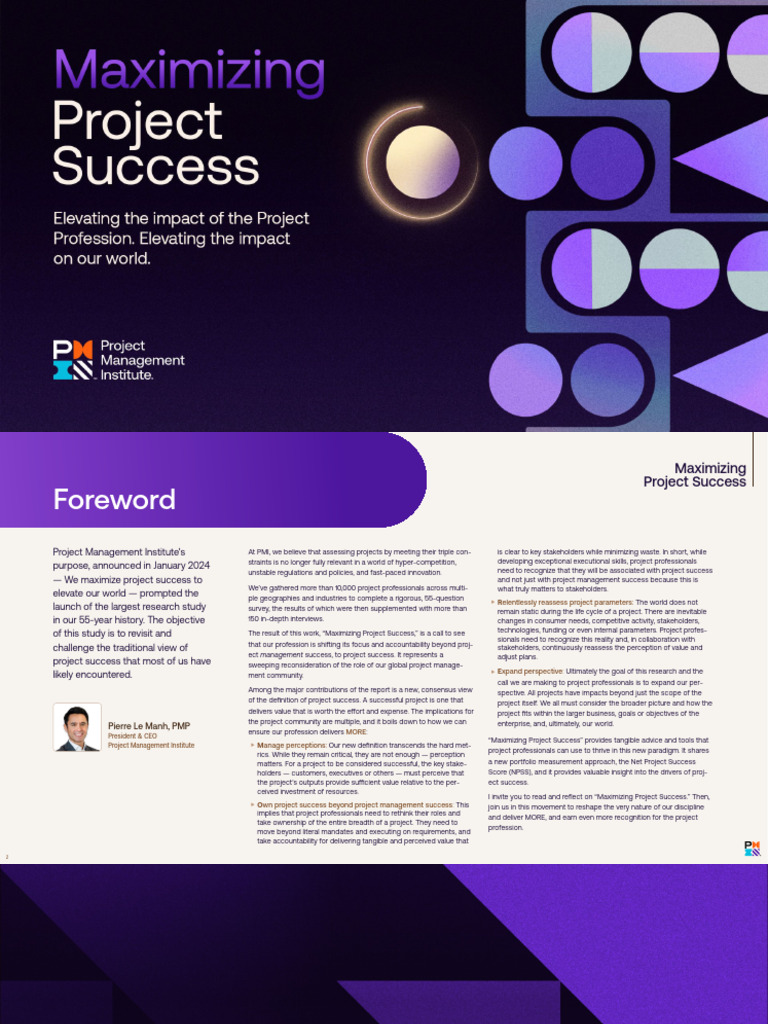 Project Success Report | PDF | Project Management | Data