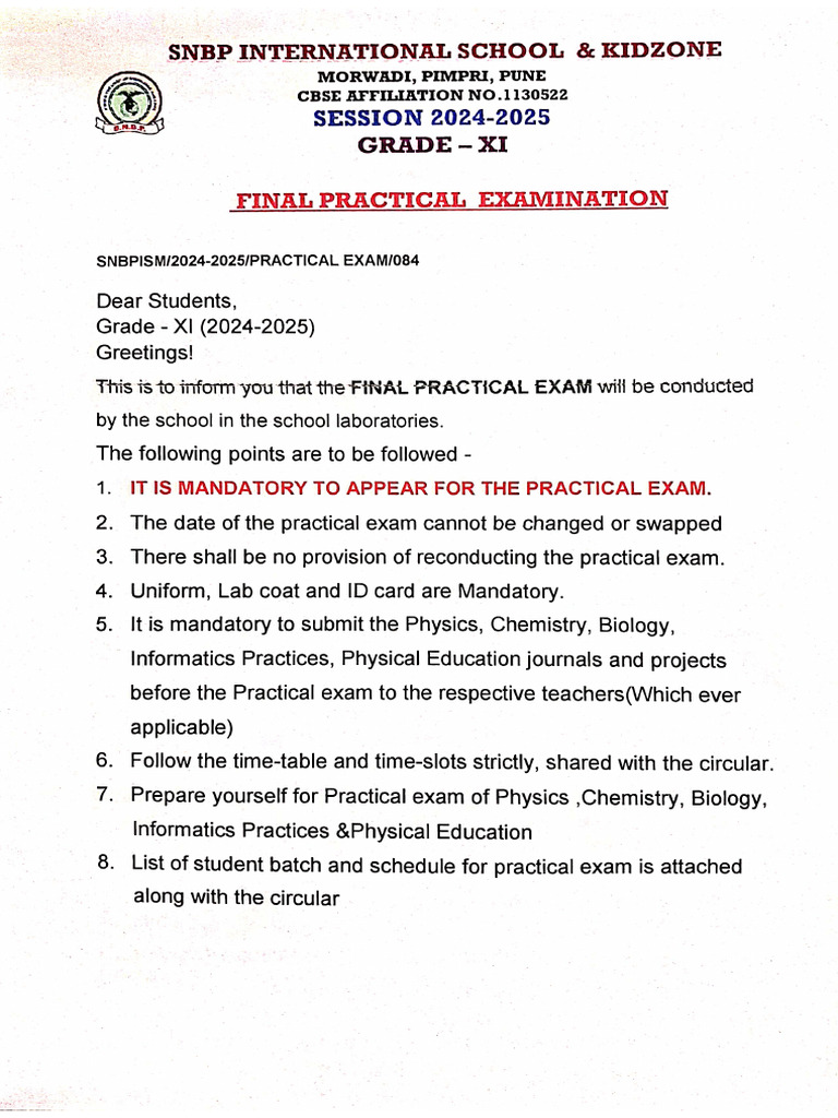 Final Practical Exam Grade 11 2024 - 2025 | PDF