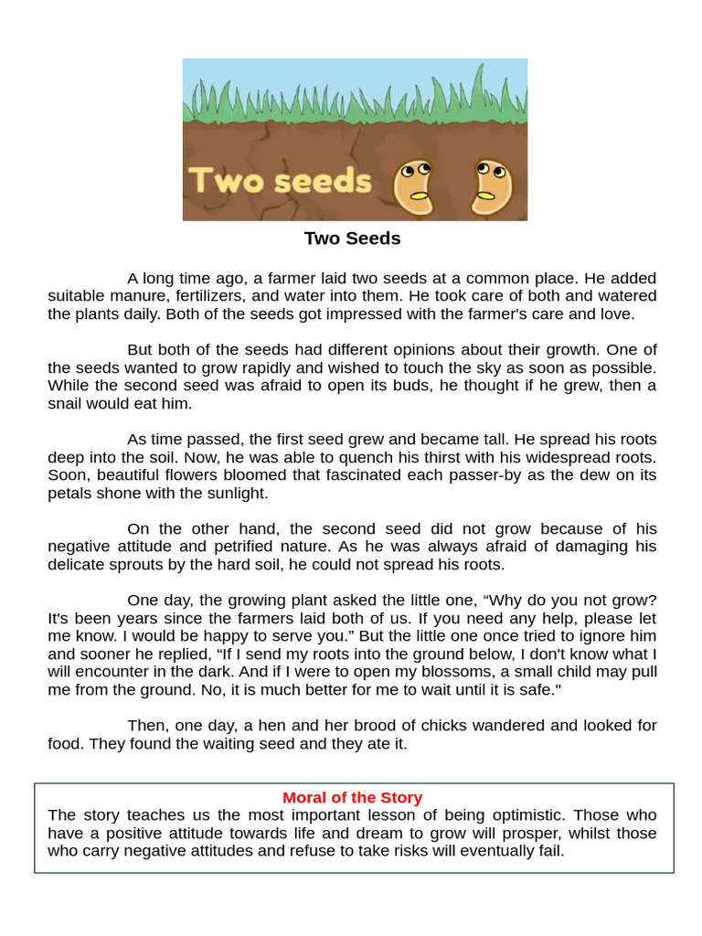 Two Seeds | PDF