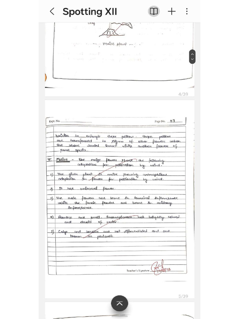 Screenshot - 20250109 - 193103 - Samsung Notes | PDF