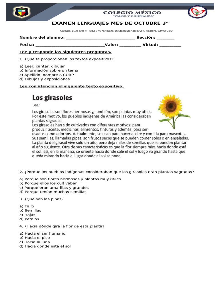 Lengua Jes | PDF | Autor