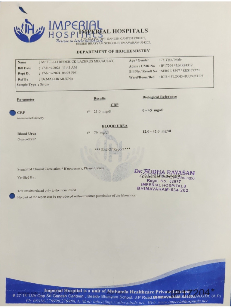 PDFReader 20241122 1125 | PDF