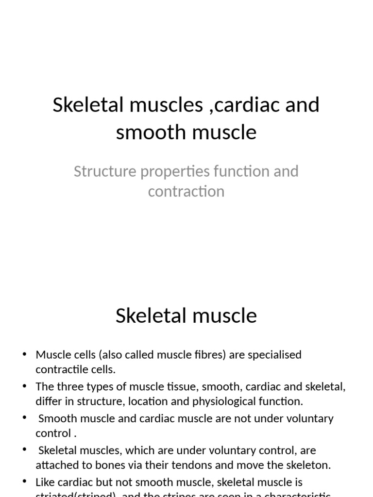 Skeletal Muscles, Cardiac and Smooth Muscle | PDF | Muscle | Muscle ...