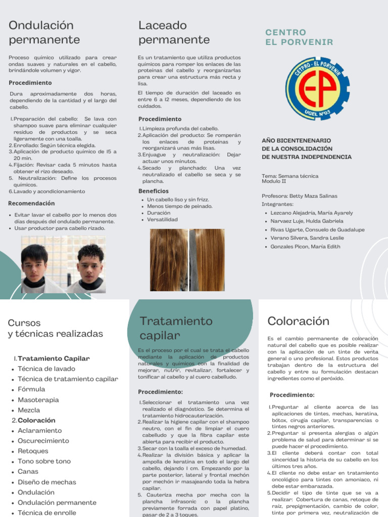 triptico | PDF | Pelo