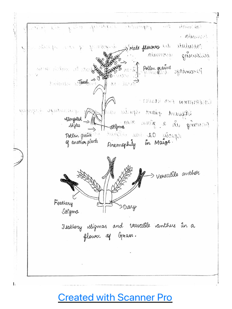 Spotting Test-Biology XII | PDF | Branches Of Botany | Pollination