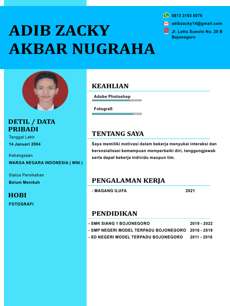 cv bru | PDF