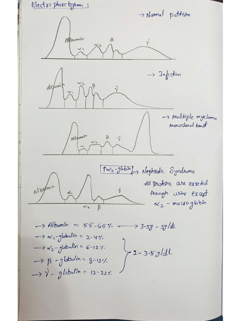 Biochemistry | PDF