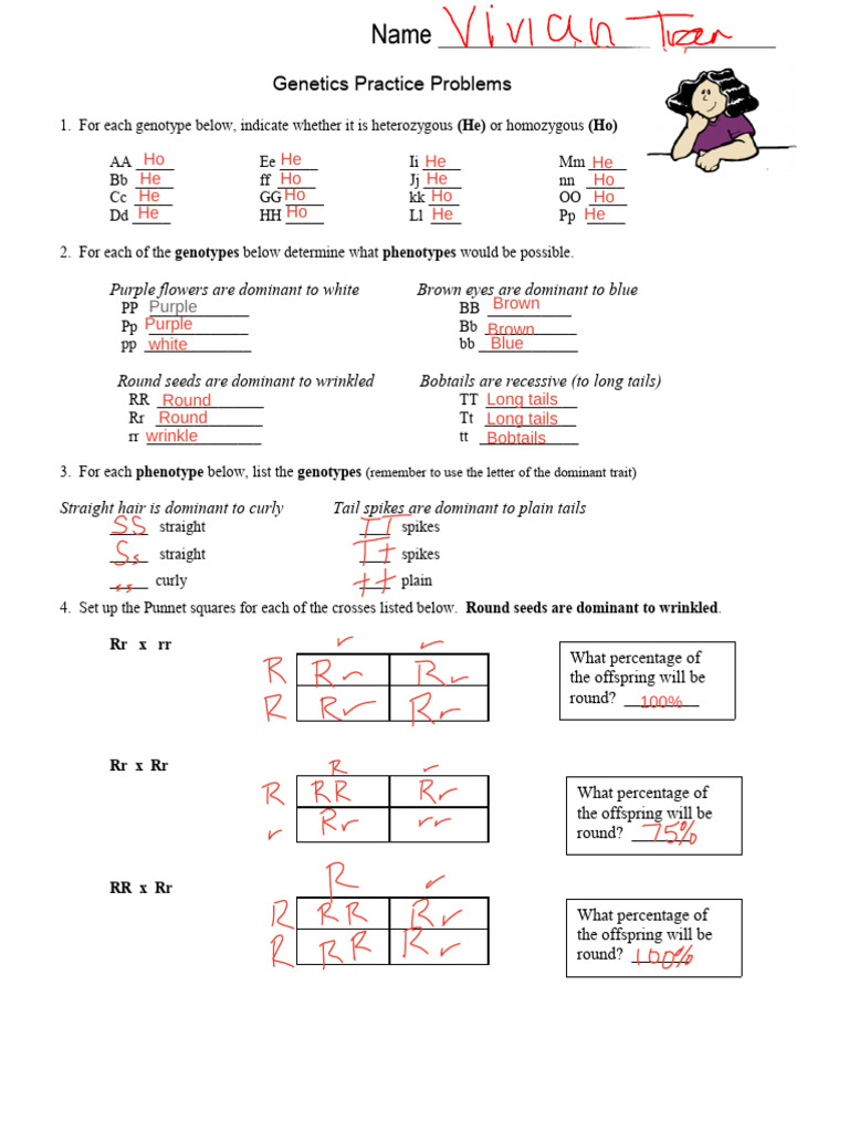Genetics Practice Problems | PDF | Zygosity | Dominance (Genetics)