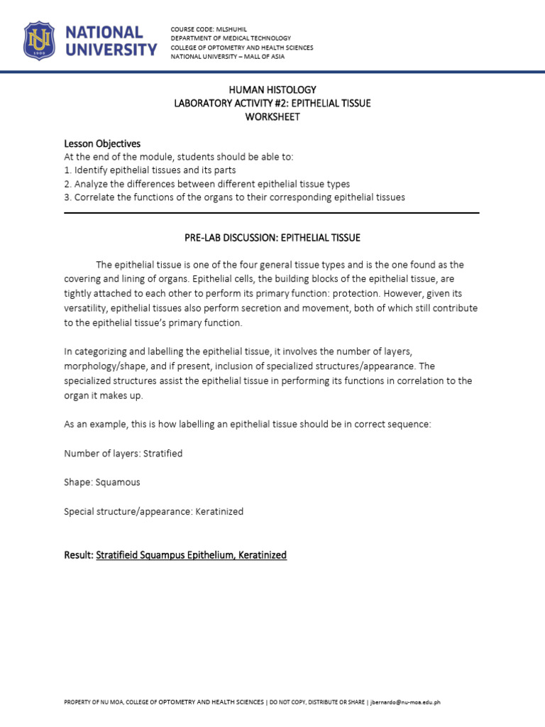 Epithelial Tissue Laboratory Activity | PDF | Epithelium | Laboratory ...