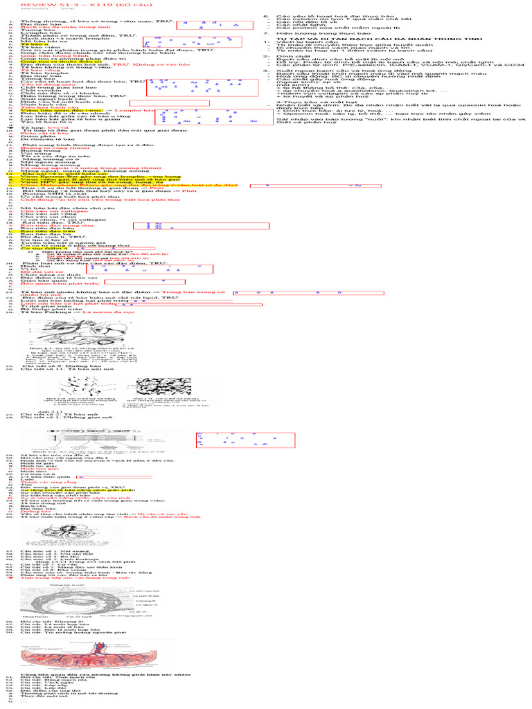 REVIEW-S1.3-K119-60-câu-3 | PDF