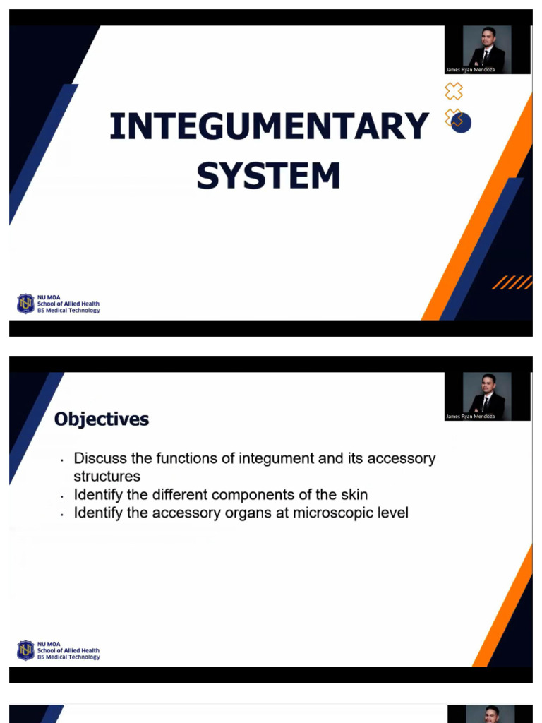 Integumentary System - Histo Lab | PDF