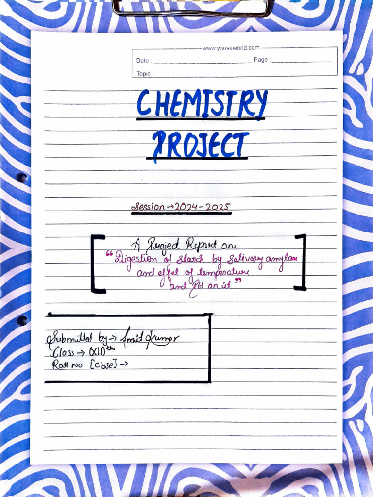 Chemistry Project | PDF