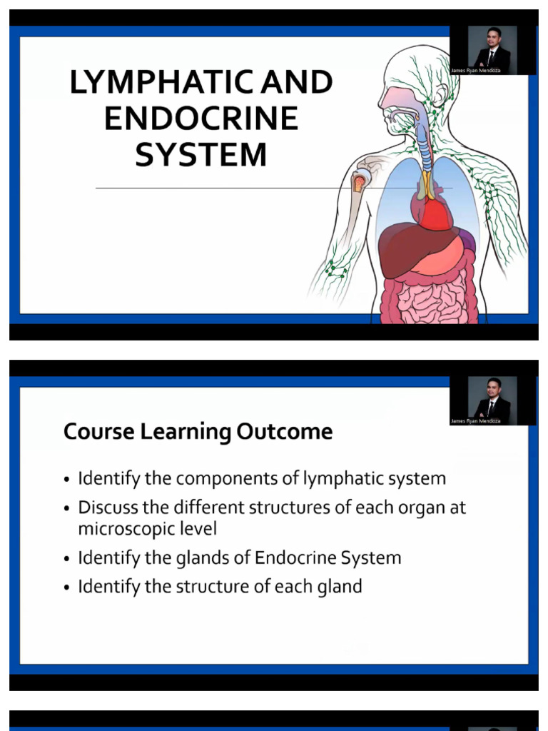 Lymphatic System - Histo Lab | PDF