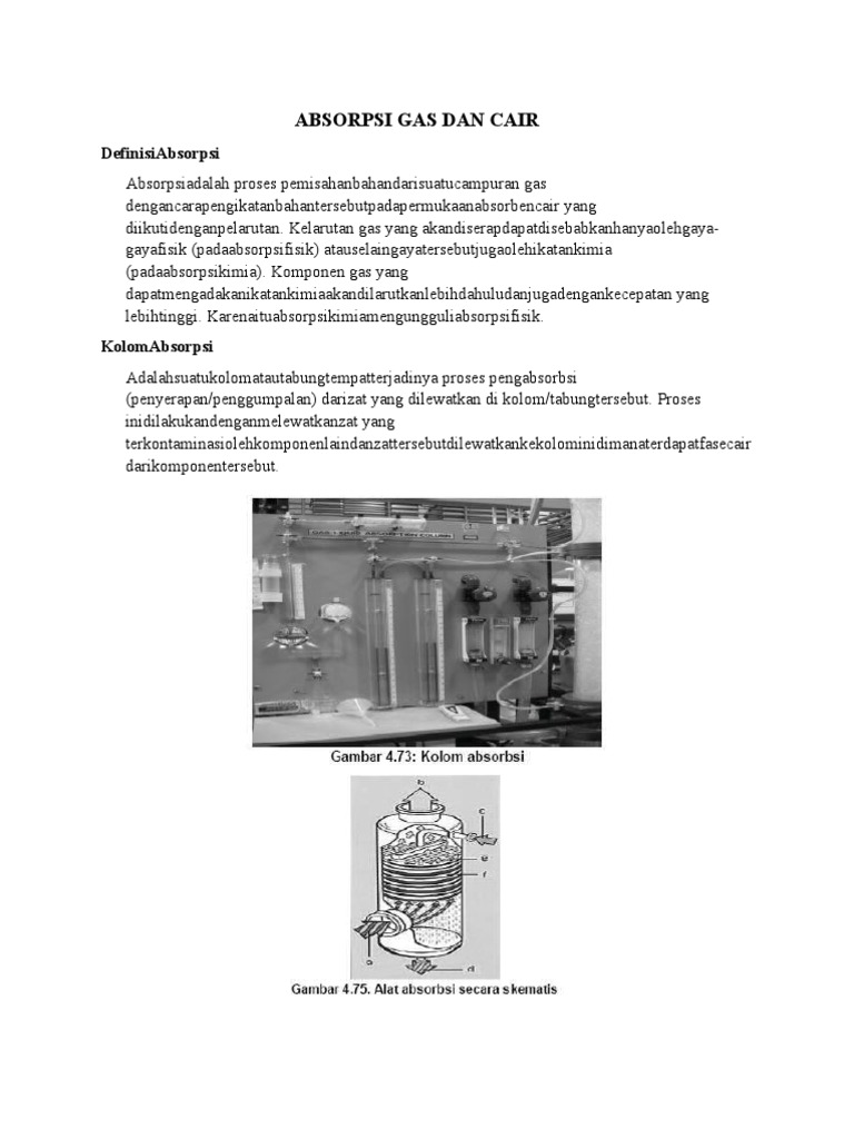 Proses Absorpsi dan Ekstraksi | PDF | Sains & Matematika
