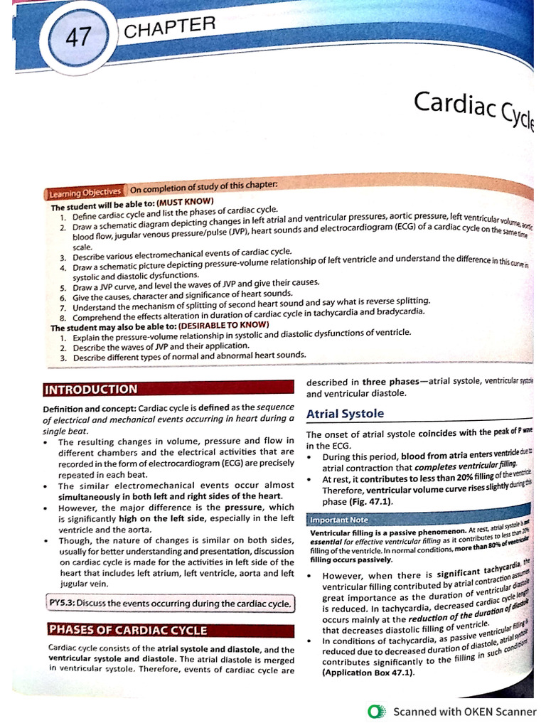 Cardiac Cycle | PDF