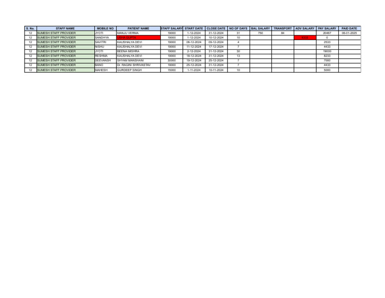 Staff Salary and Payment Details | PDF