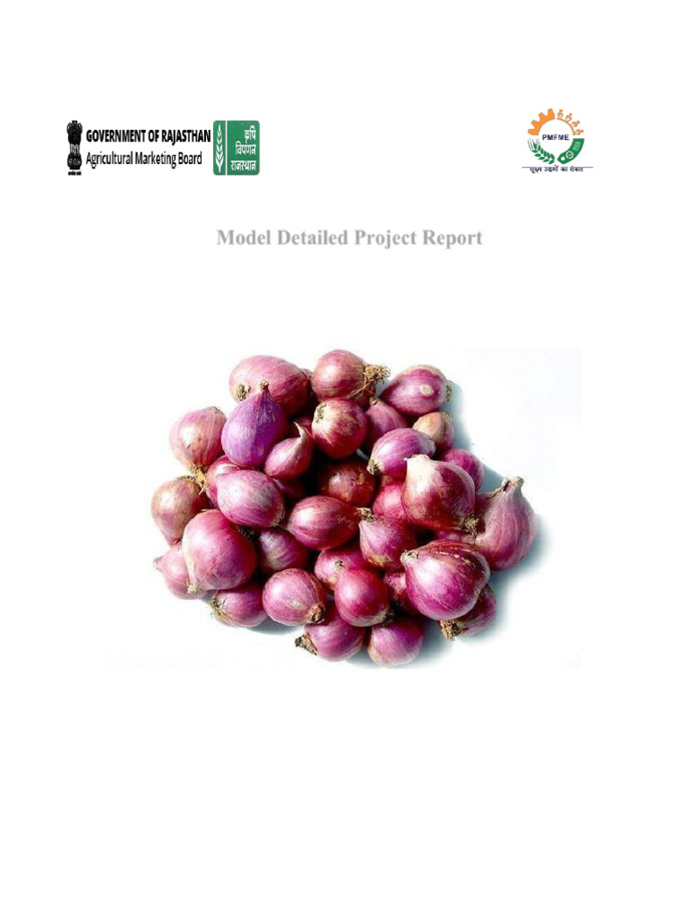 Onion Processing Unit DPR in Karnataka | PDF | Onion