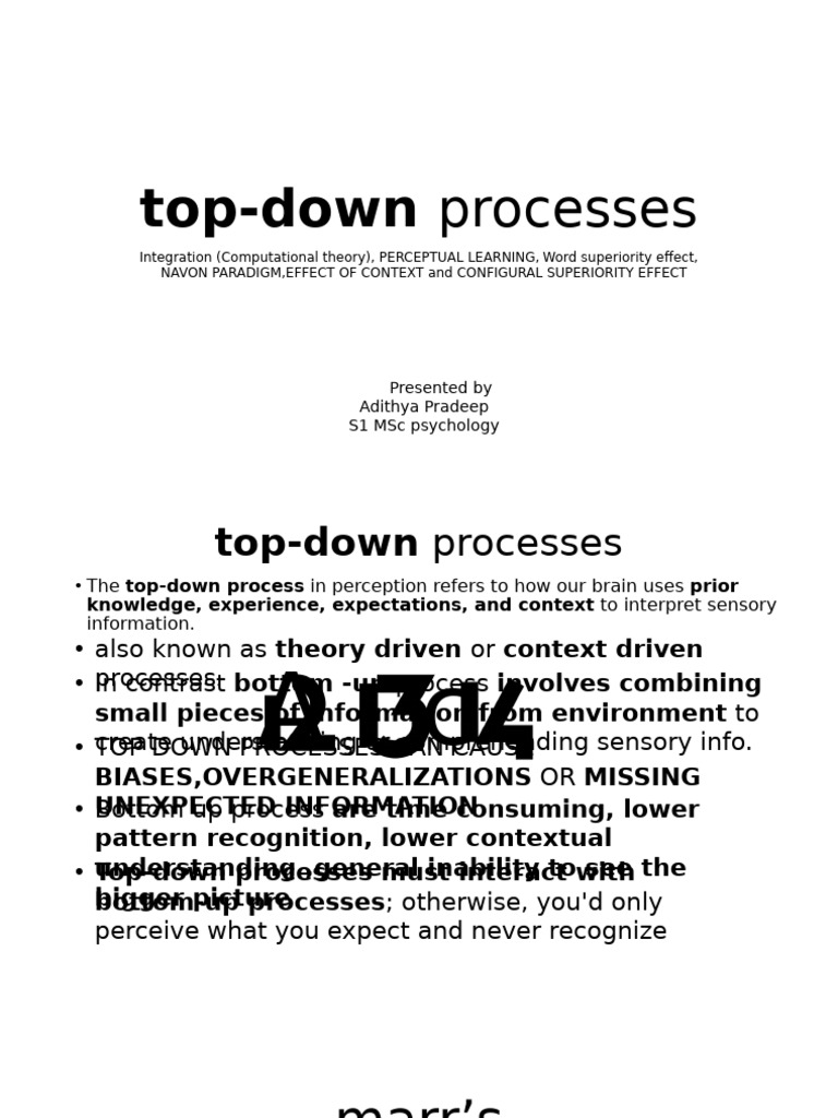 Top-Down Perception Processes Explained | PDF | Perception | Neuroscience