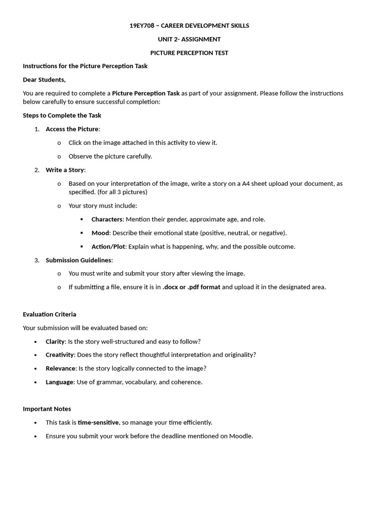 Picture Perception Test Assignment 18.11.24 | PDF