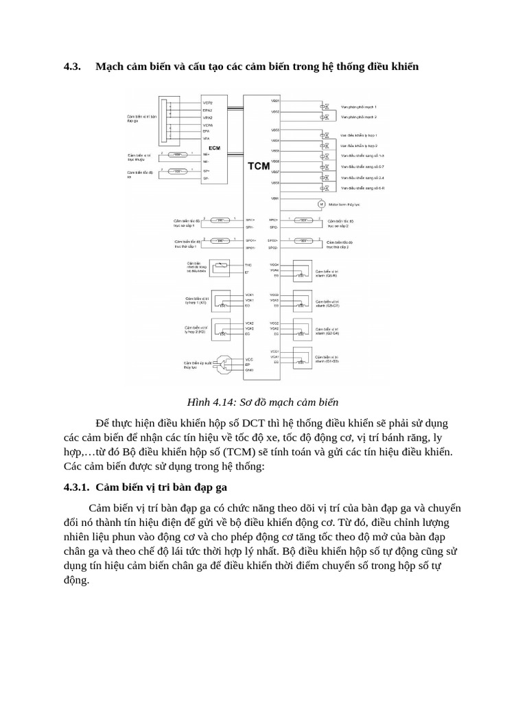 Cambien | PDF