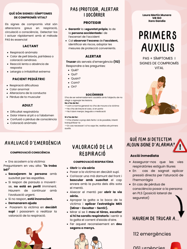 Triptic Primers Auxilis | PDF