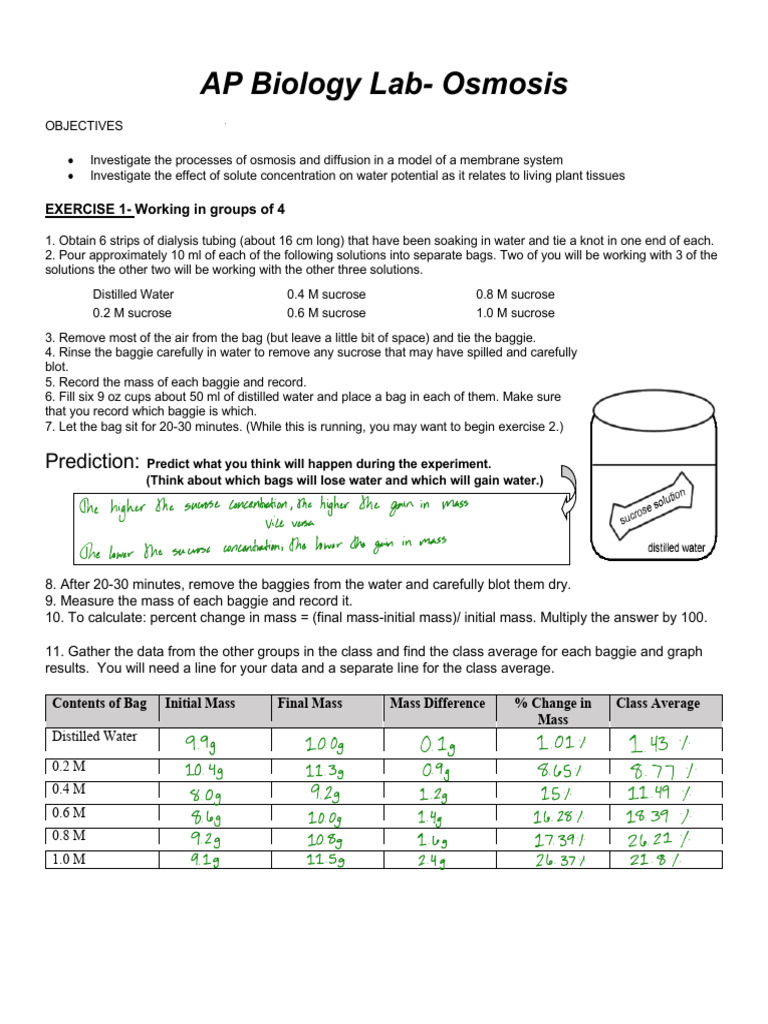 Ap Bio Diffusion - Lab - AP 1 | PDF | Pressure | Water