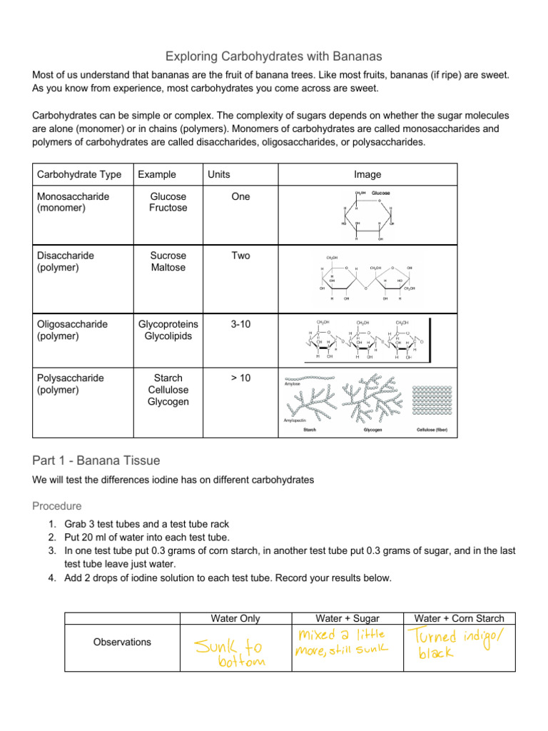 Banana Carbohydrate Lab | PDF | Carbohydrates | Starch