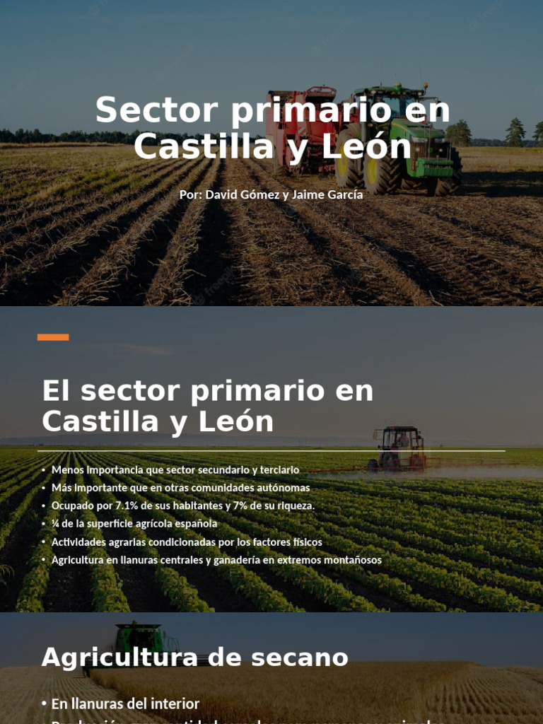 Sector Primario en Castilla y León: Análisis | PDF