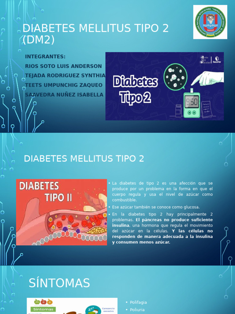 Diabetes Mellitus Tipo 2: Causas y Prevención | PDF | Diabetes | Insulina