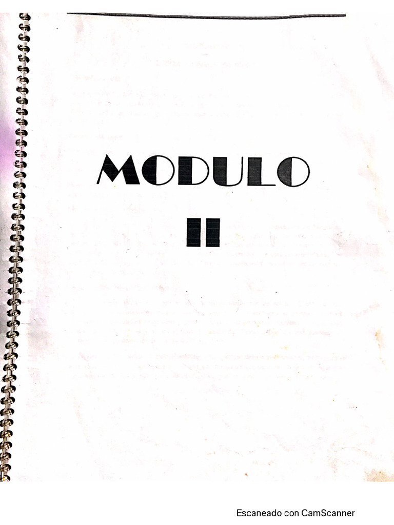 Modulo 2 SCANN | PDF