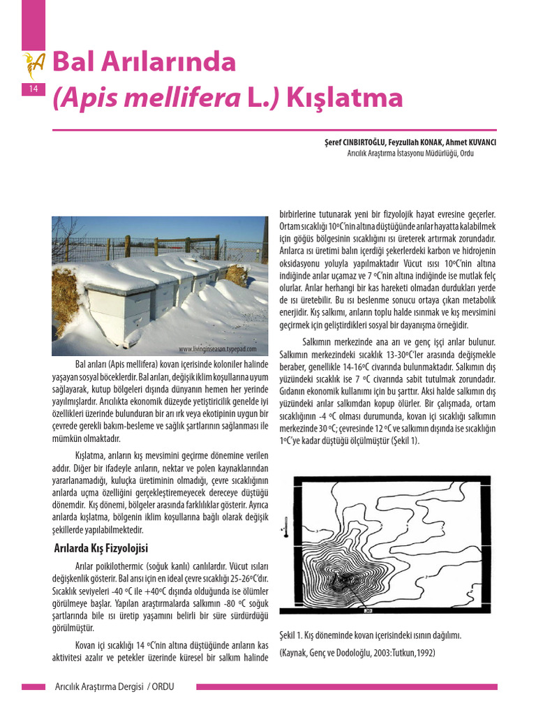 PDF 123 | PDF