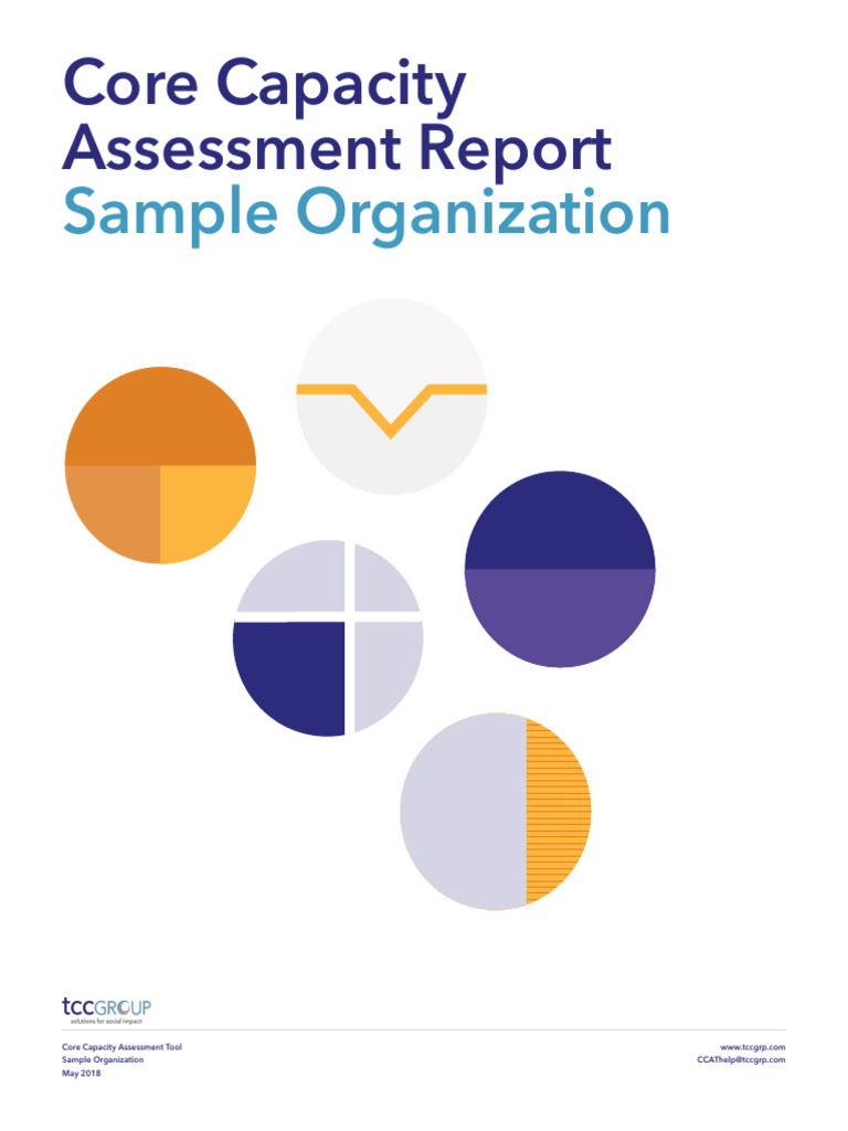 TCC Group Ccat Report Sampleorganization (1) Ok Ok | PDF | Strategic ...