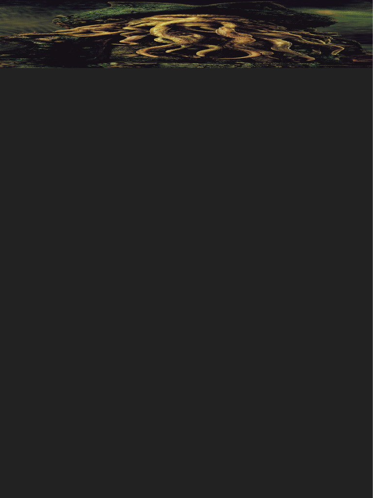 Davy Jones at DuckDuckGo | PDF