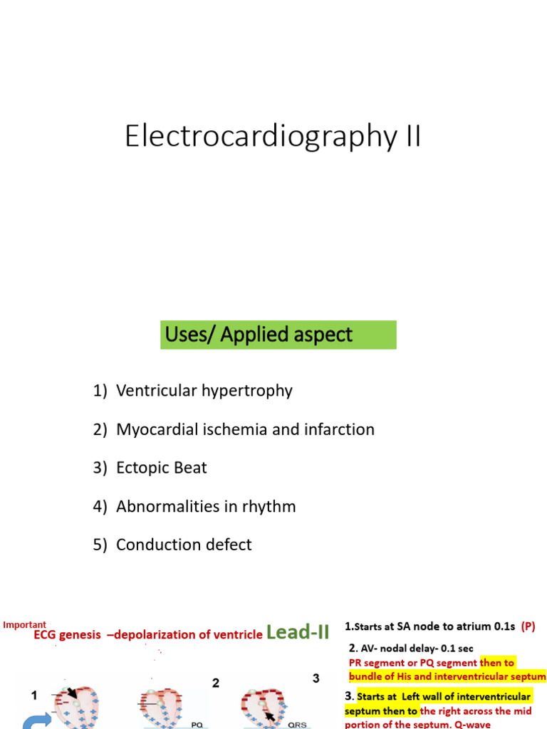 ECG II MBBS 1st Year | PDF | Electrocardiography | Heart