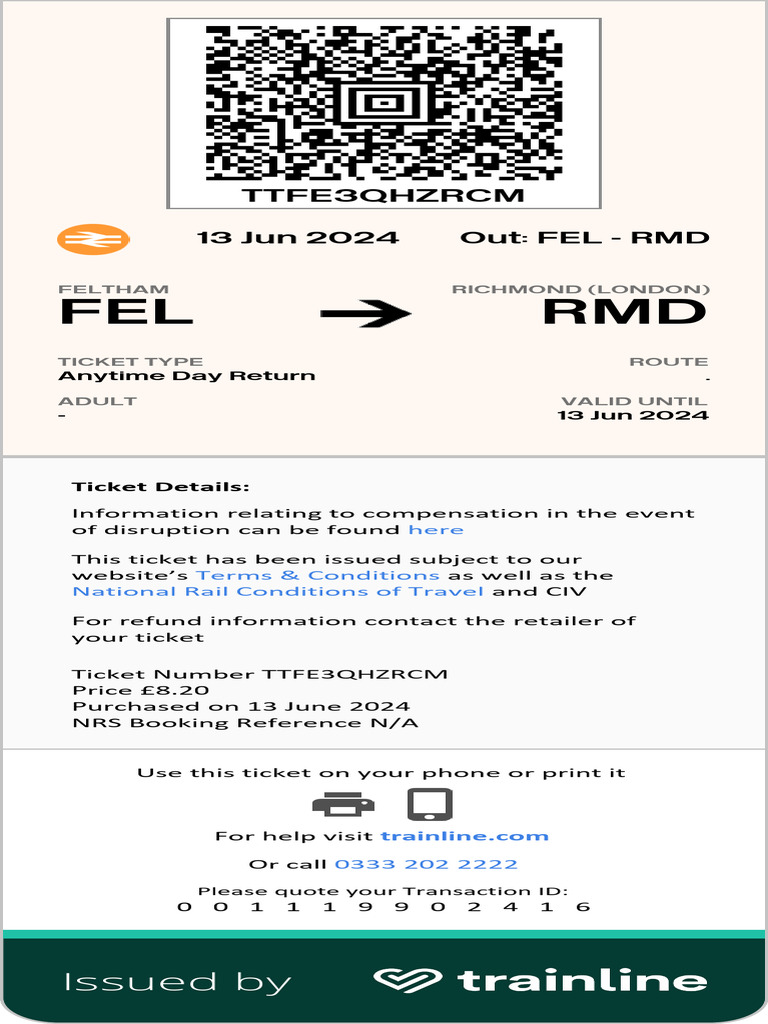 Anytime Day Return Ticket Details | PDF