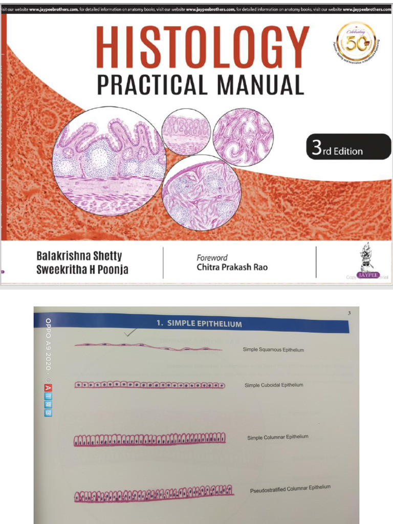 Balakrishna Shetty Histology 3rd Ed 2018 (@medflix 2) | PDF