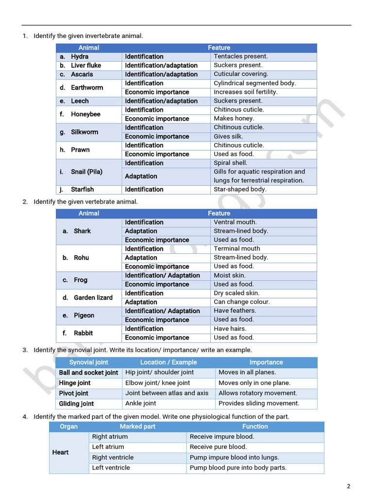 Higher Secondary Practical Examination Zoology QP 2024 With Answers | PDF | Kidney | Urinary System