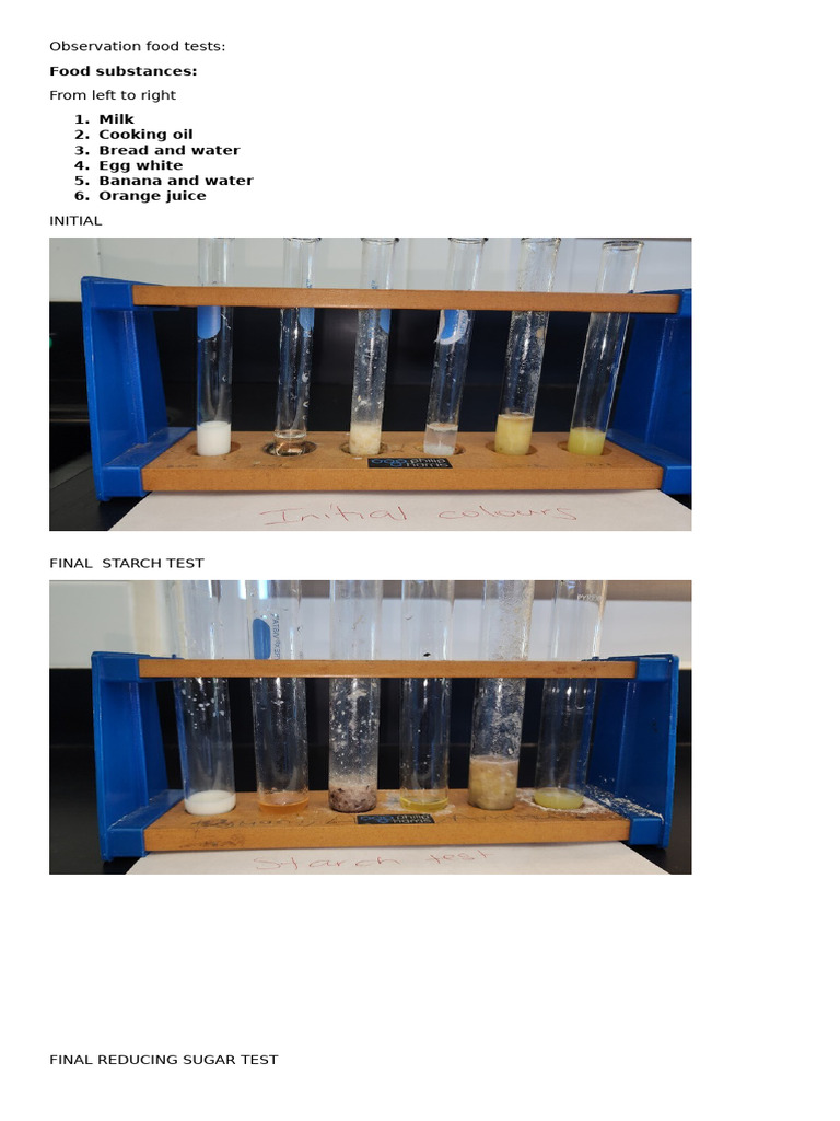 Observation Food Tests | PDF