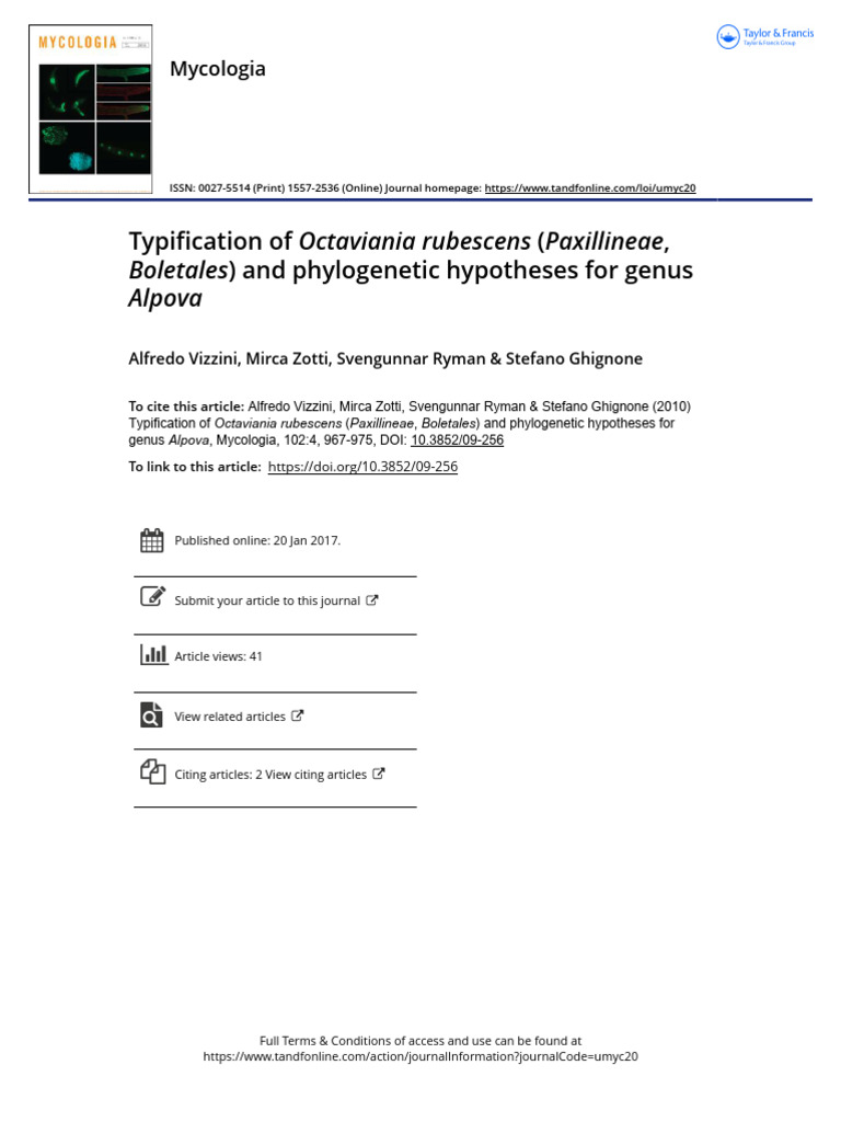 4.Typification of Octaviania rubescens (Paxillineae, Boletales) and phylogenetic hypotheses for ...
