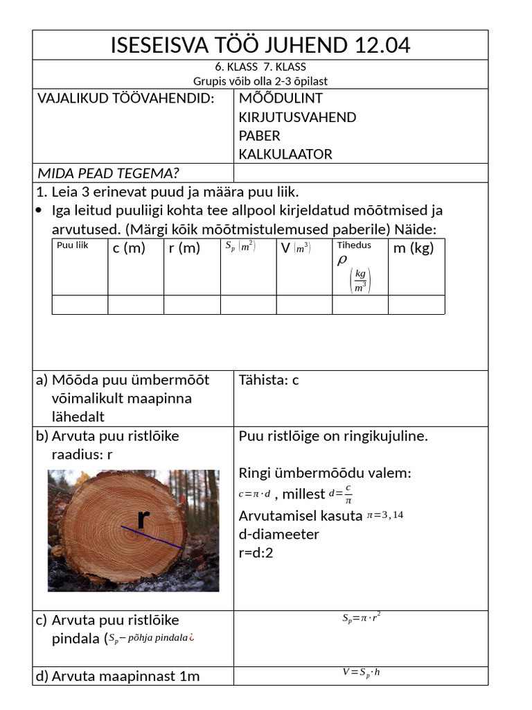 Praktiline Töö - Puupaku Massi Arvutamine (Muudetud) | PDF