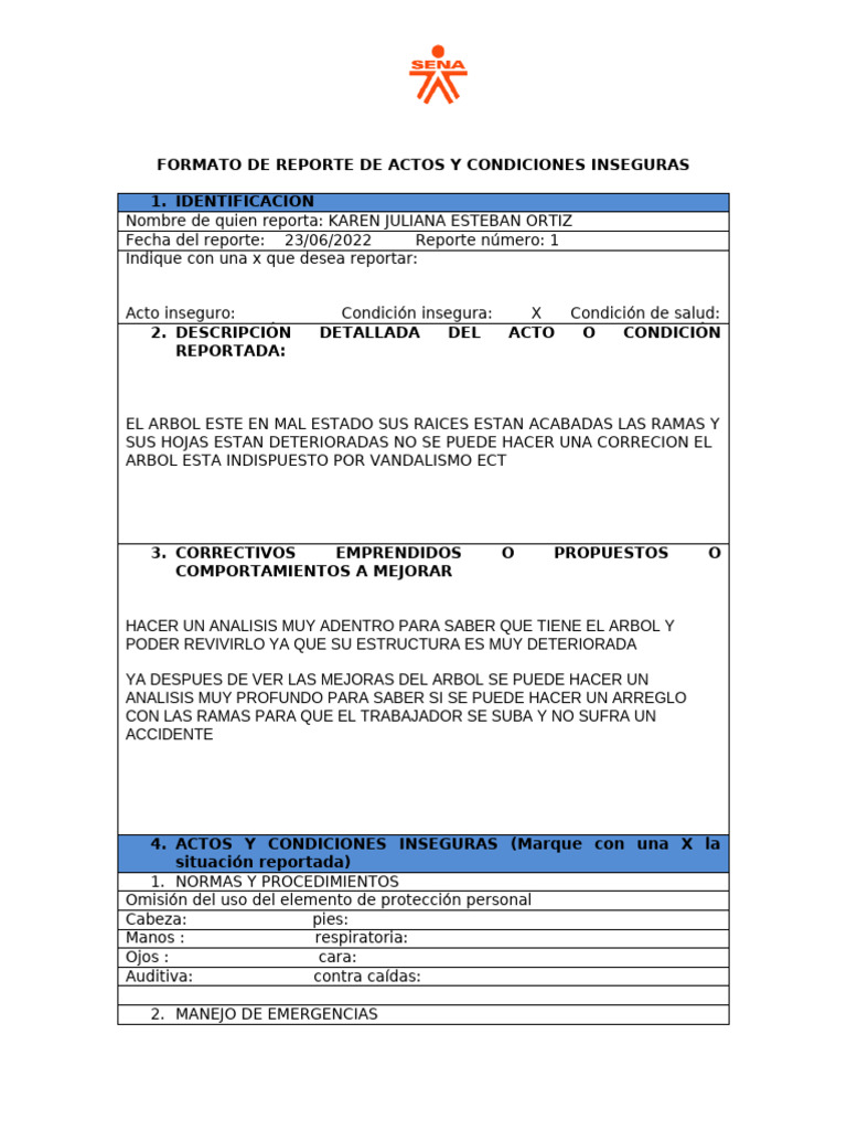 Taller-Reporte SST | PDF