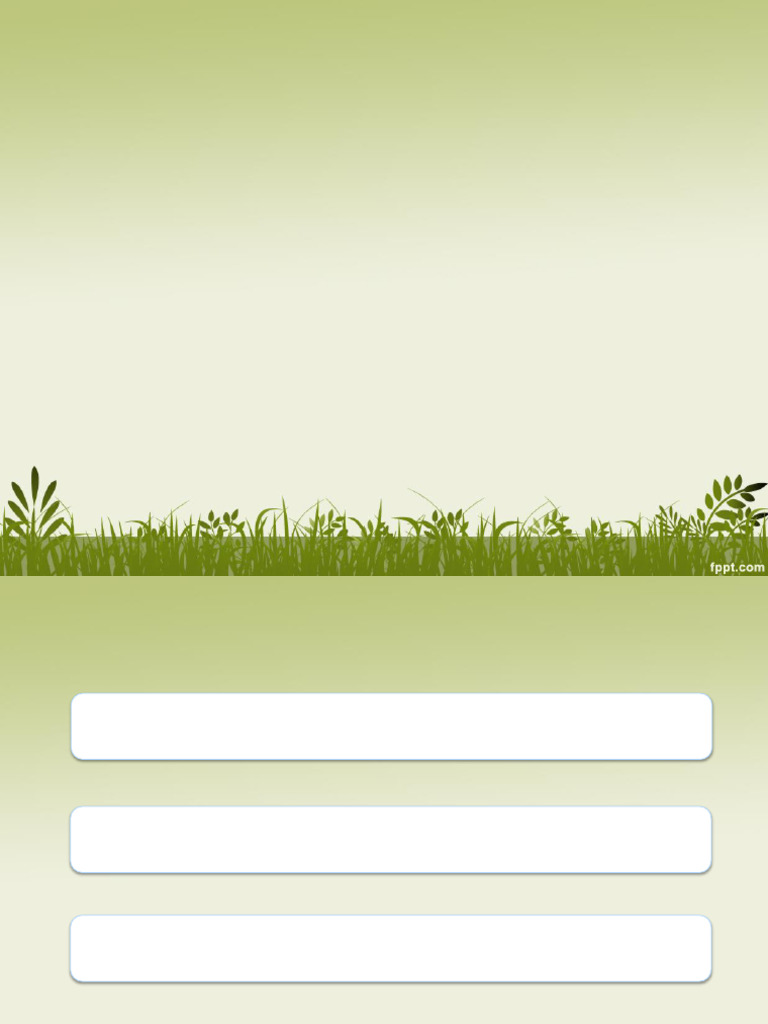 Lecture 2 Ecology | PDF | Primary Production | Food Web