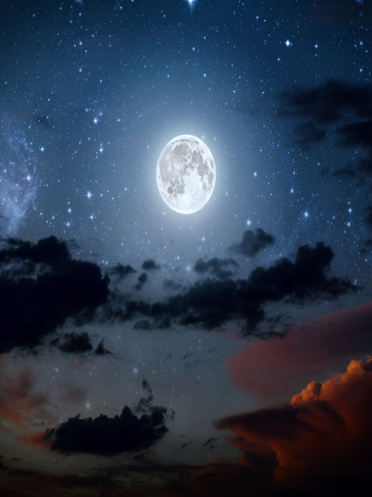 Medium Square at 3 X | PDF