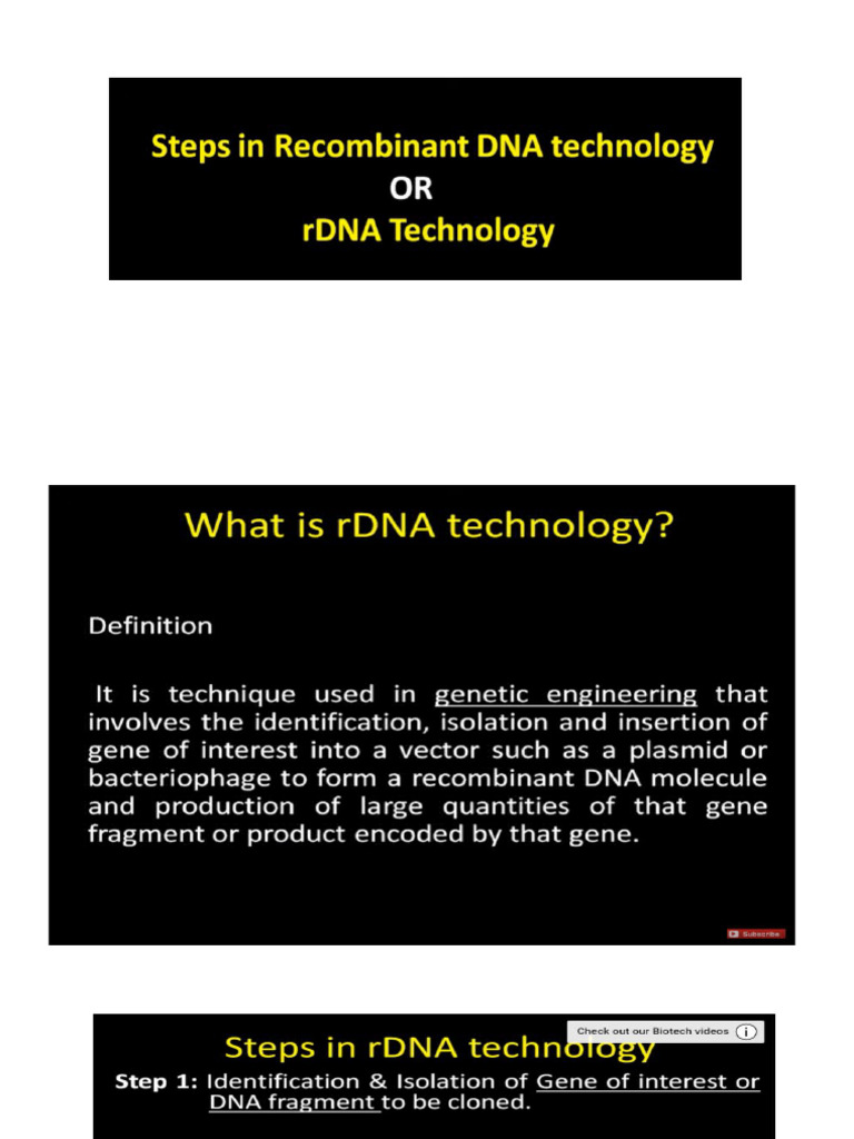 rDNA-Technology | PDF