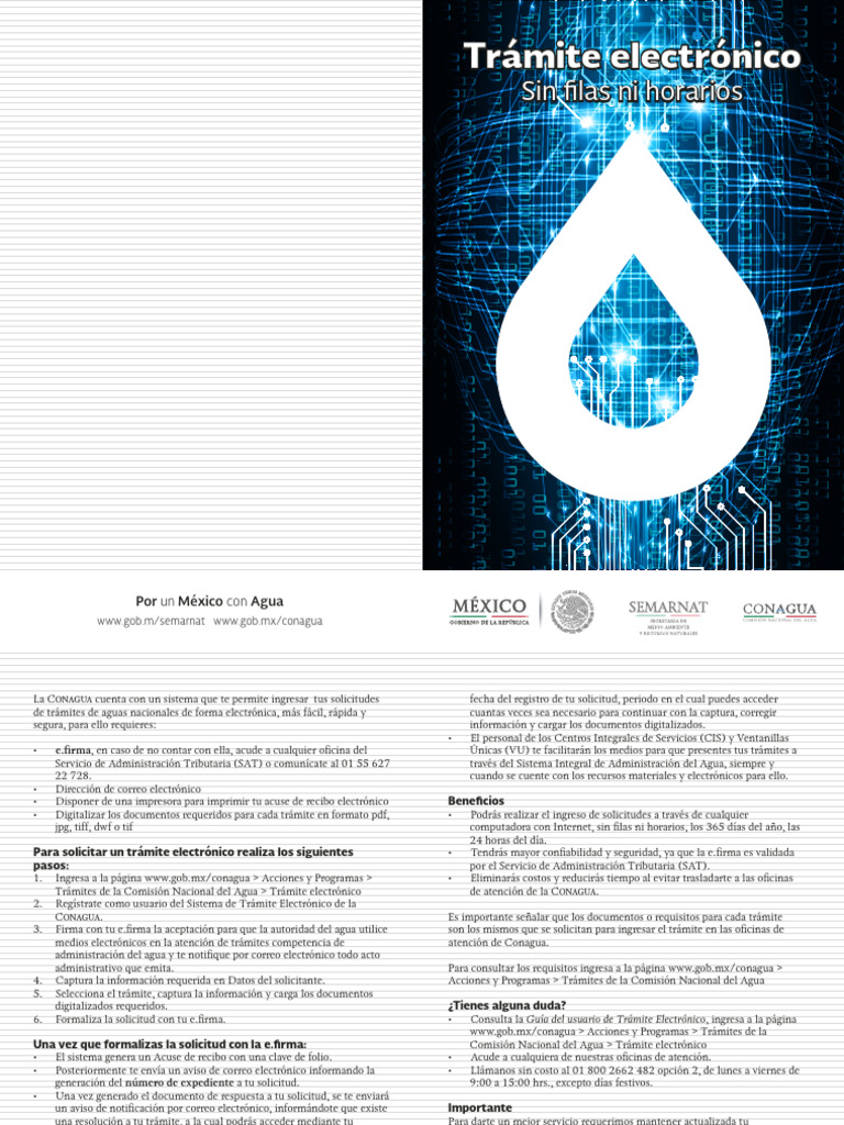 Sgaa-8-17 Final Diptico Tramite Electronico | PDF | Informática