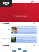 Modelo Del Plan Del Saei 2024 2025 | PDF | Evaluación | Educación primaria