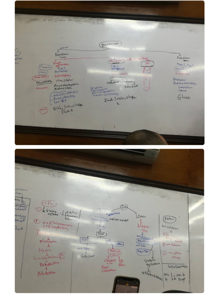Bio by Dr.sebaie [ENDO][2] | PDF
